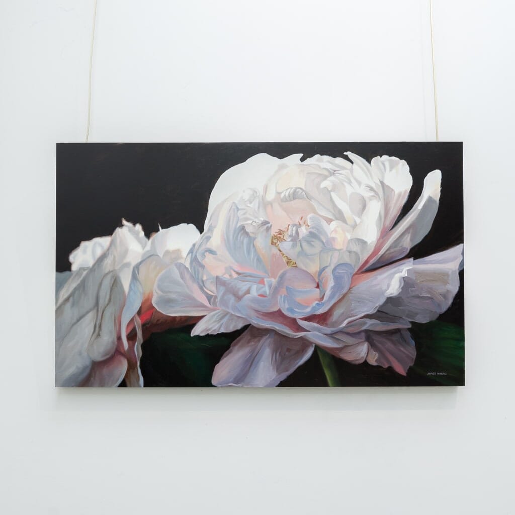 Peony Medley | 24" x 40" by James Wiens - West End Gallery